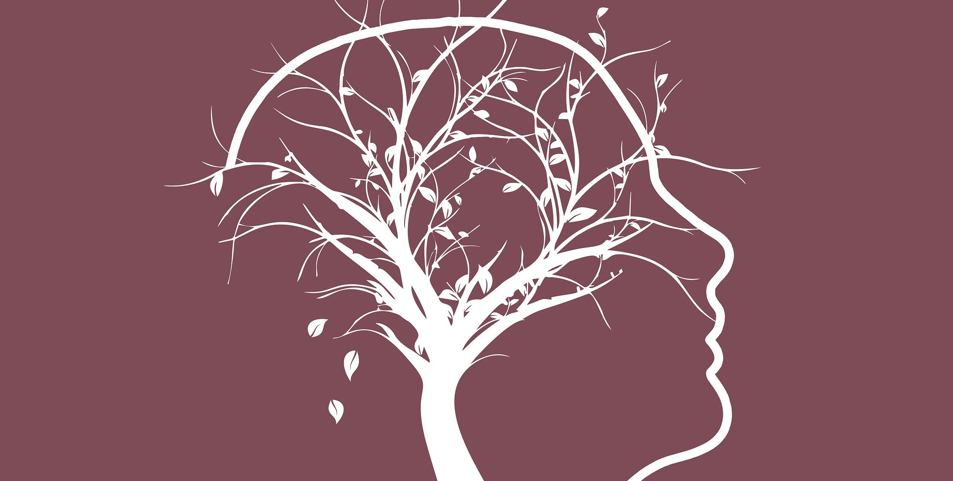 Plus loin que l'oubli - Scan-R